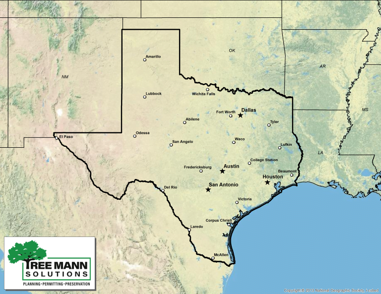 Tree Mann Solutions provides services in the following areas: